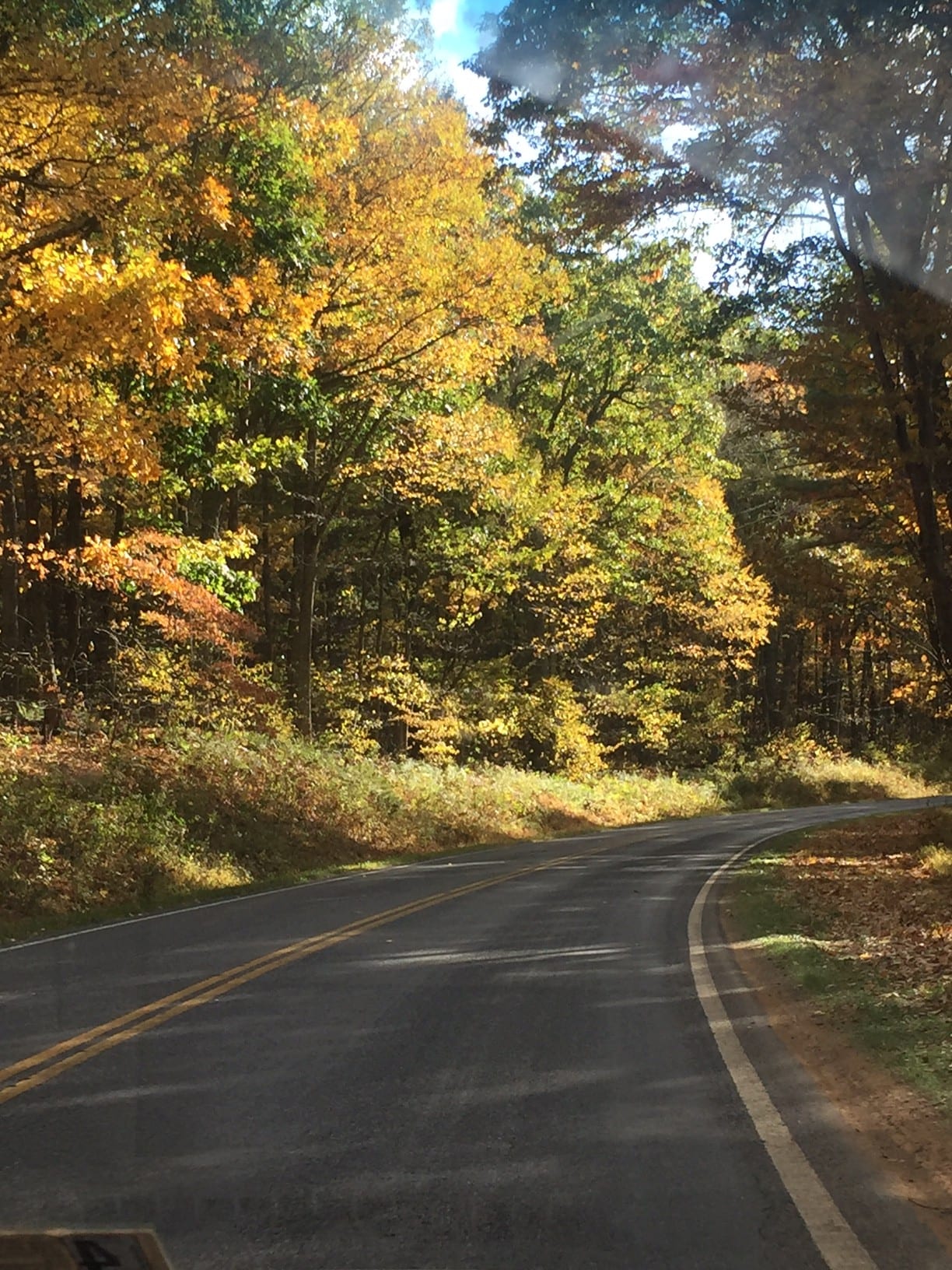 Fall- 52 Weeks of Gratitude | Global Munchkins