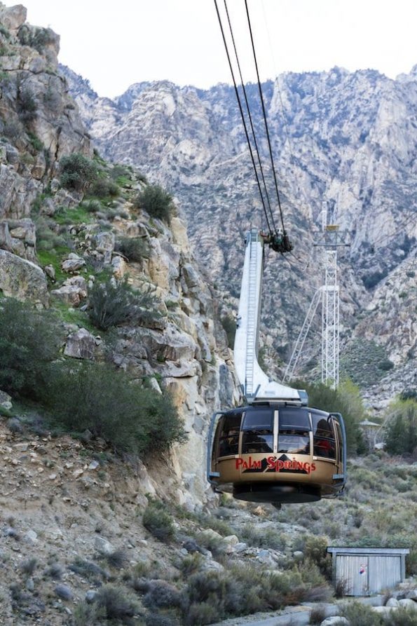 20 Things to Do in Palm Springs with Kids | Global Munchkins