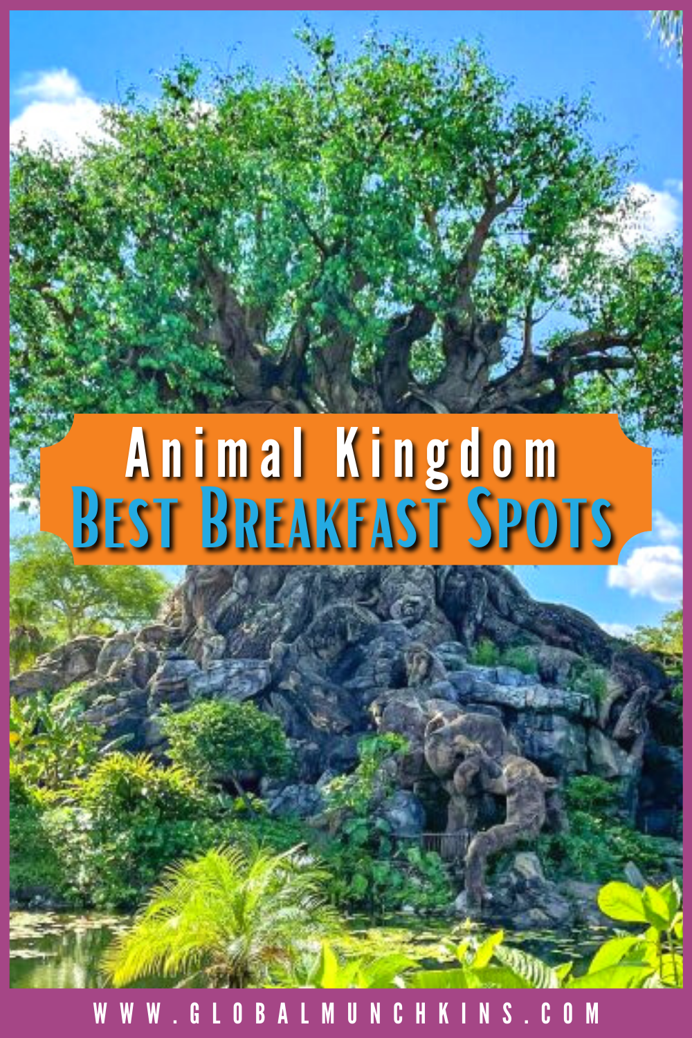 Animal Kingdom Breakfast- The 7 Best Morning Spots for a Bite!