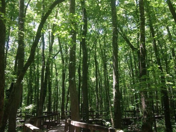 15 Awesome Things to Do in Jackson with Kids that You’ll Love! | Global ...