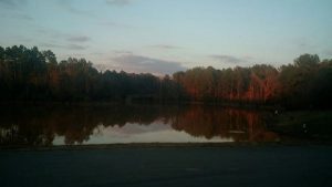 17 Amazing Things to do in Tyler Texas with Kids! | Global Munchkins