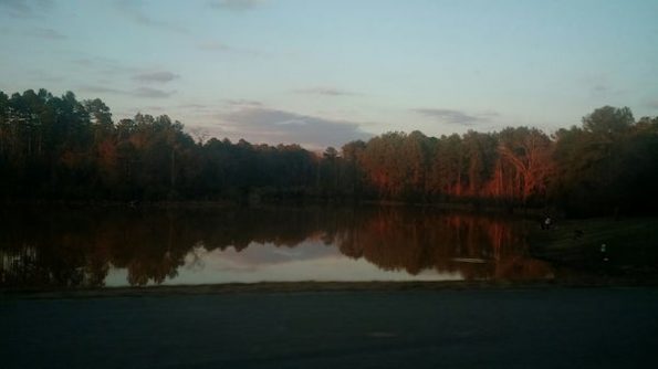 17 Amazing Things to do in Tyler Texas with Kids! | Global Munchkins