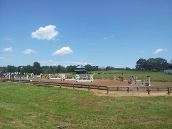 17 Amazing Things to do in Tyler Texas with Kids! | Global Munchkins