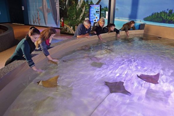 18 Great Things to do in Albany with Kids | Global Munchkins