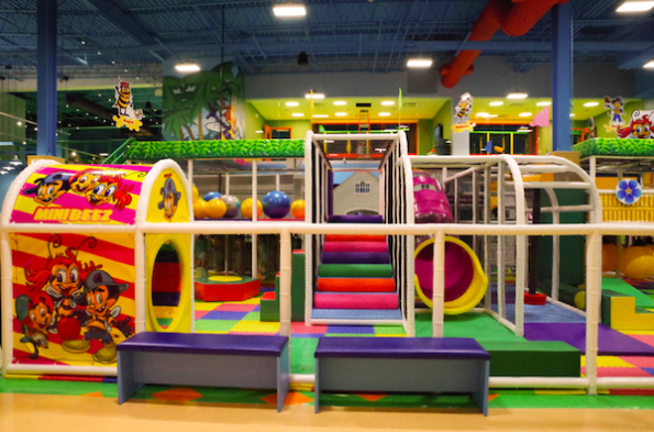 18 Great Things to do in Albany with Kids | Global Munchkins