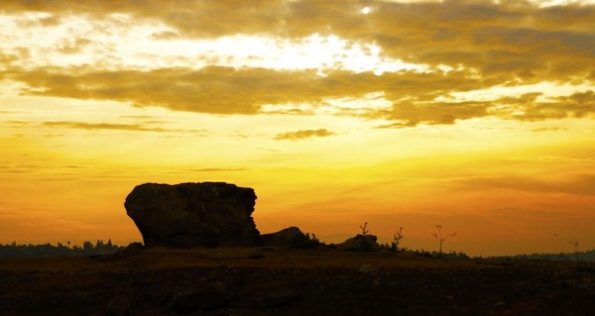 16 Exciting Things To Do In Riverside California with Kids!