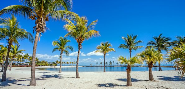 12 Awesome Things To Do with Kids in Miami you’ll Love! | Global Munchkins