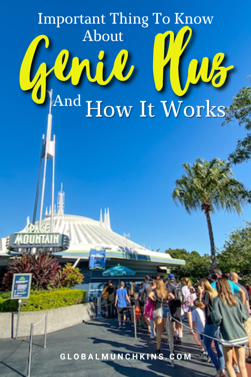 All the Important Details You Need: How Does Genie Plus Work? | Global ...