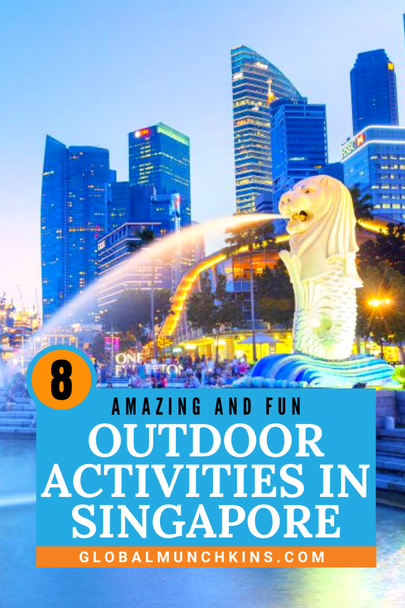 8 Amazing and Fun Outdoor Activities in Singapore | Global Munchkins