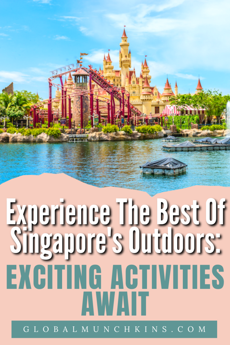 8 Amazing and Fun Outdoor Activities in Singapore | Global Munchkins