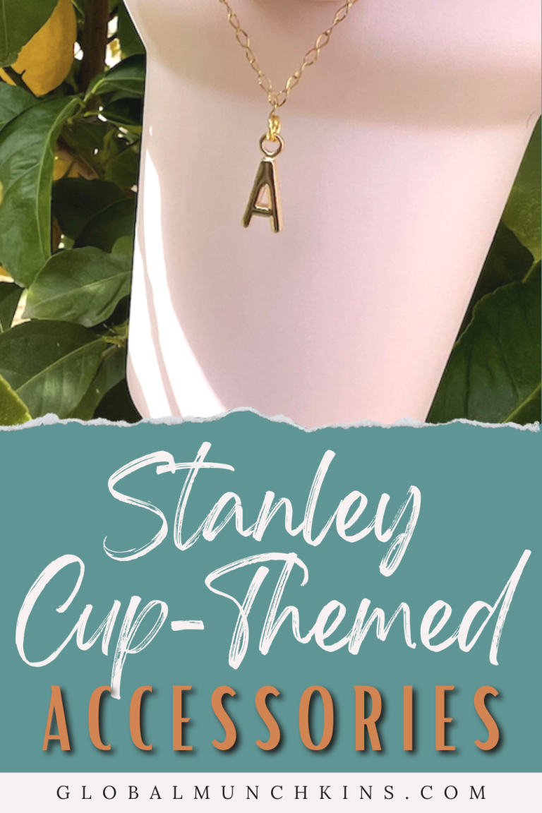 10 Unique and Fun Stanley Cup Accessories | Global Munchkins