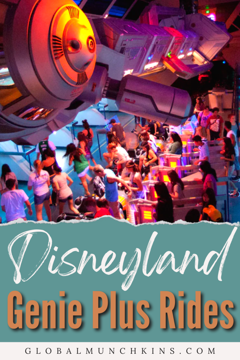 Disneyland Genie Plus Rides: A Complete List + Hacks to Have the Best Day!
